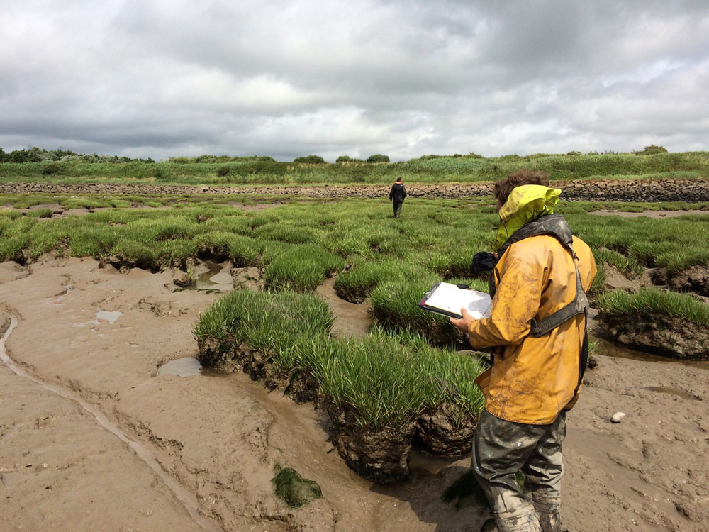 Cardiff Tidal Lagoon | Ocean Ecology