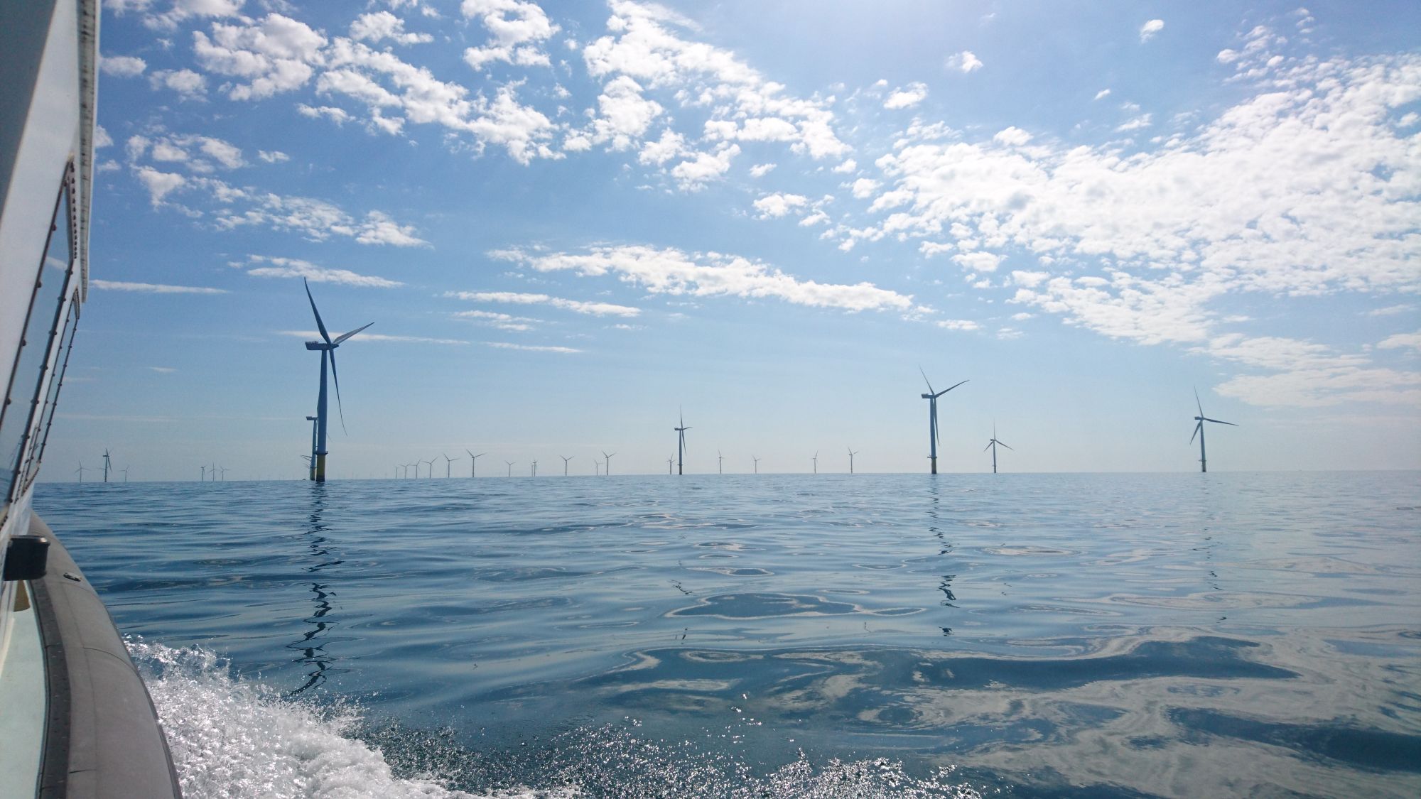 Ocean Ecology expands into Australia and the APAC region under DNV ...