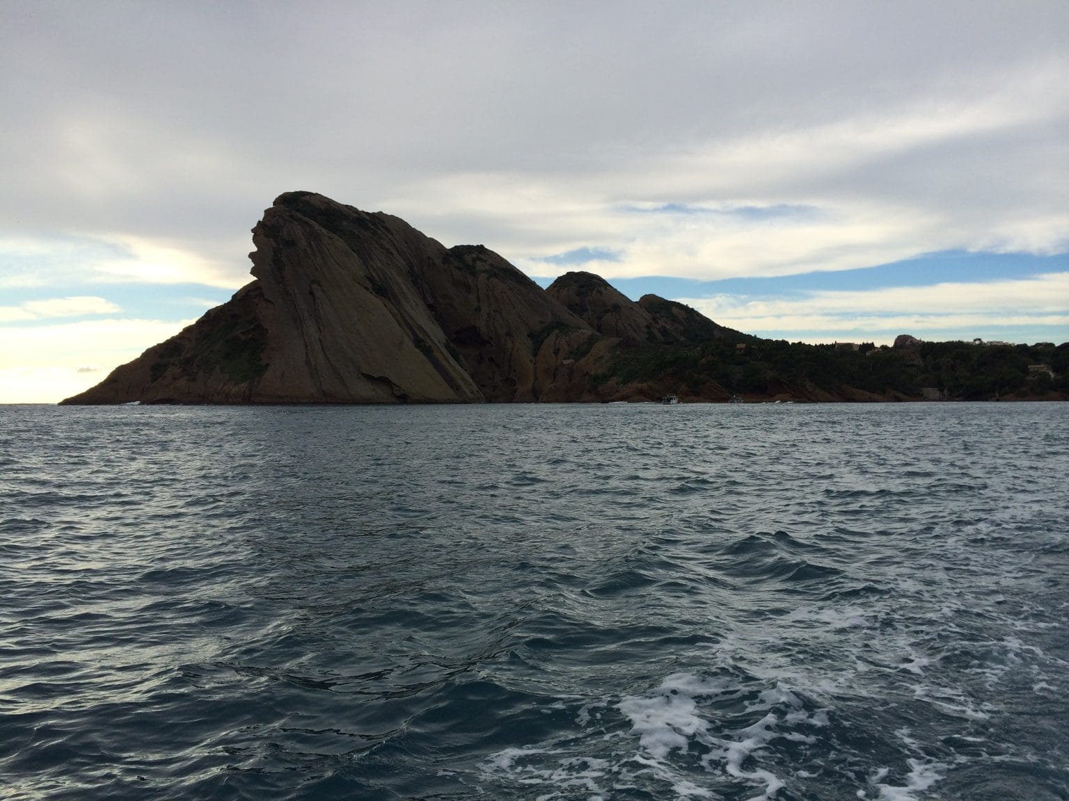 Environmental Baseline Survey Services | Ocean Ecology