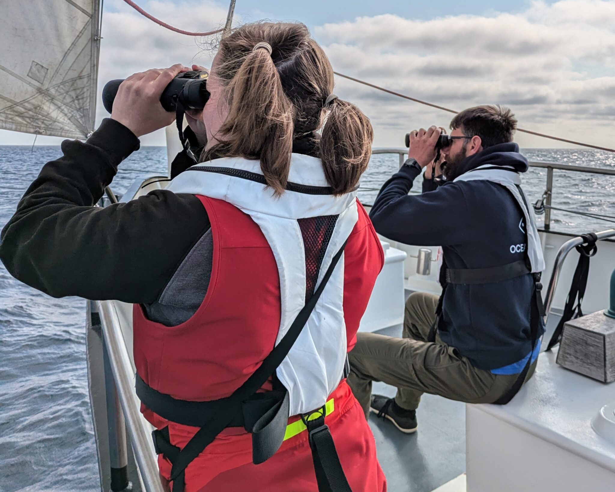 First tranche of data migrated to Marine Recorder Online - Ocean Ecology